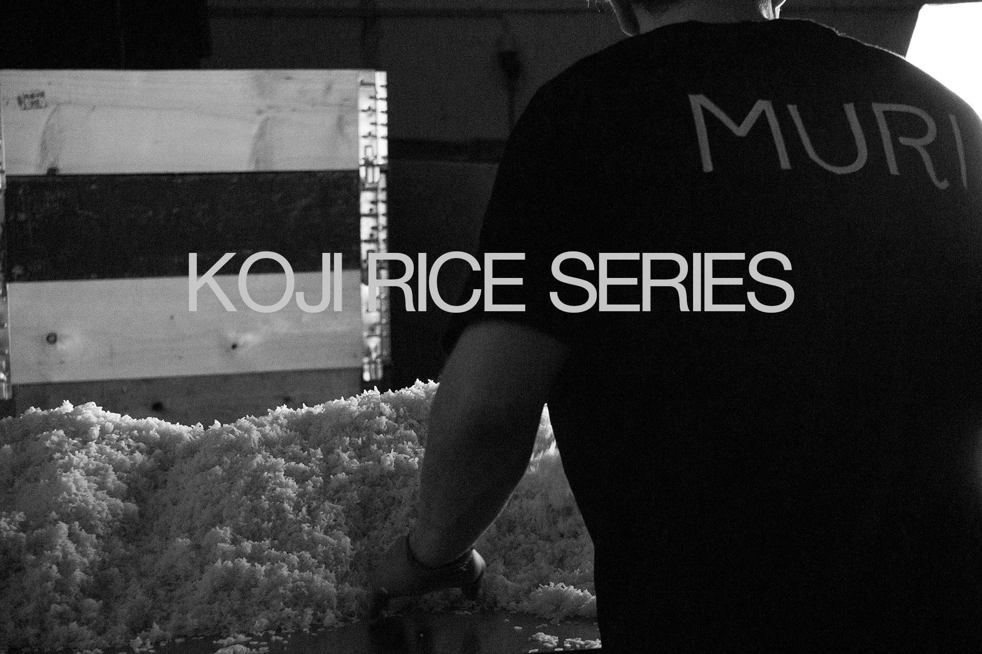 New Release - Koji Rice Series 1